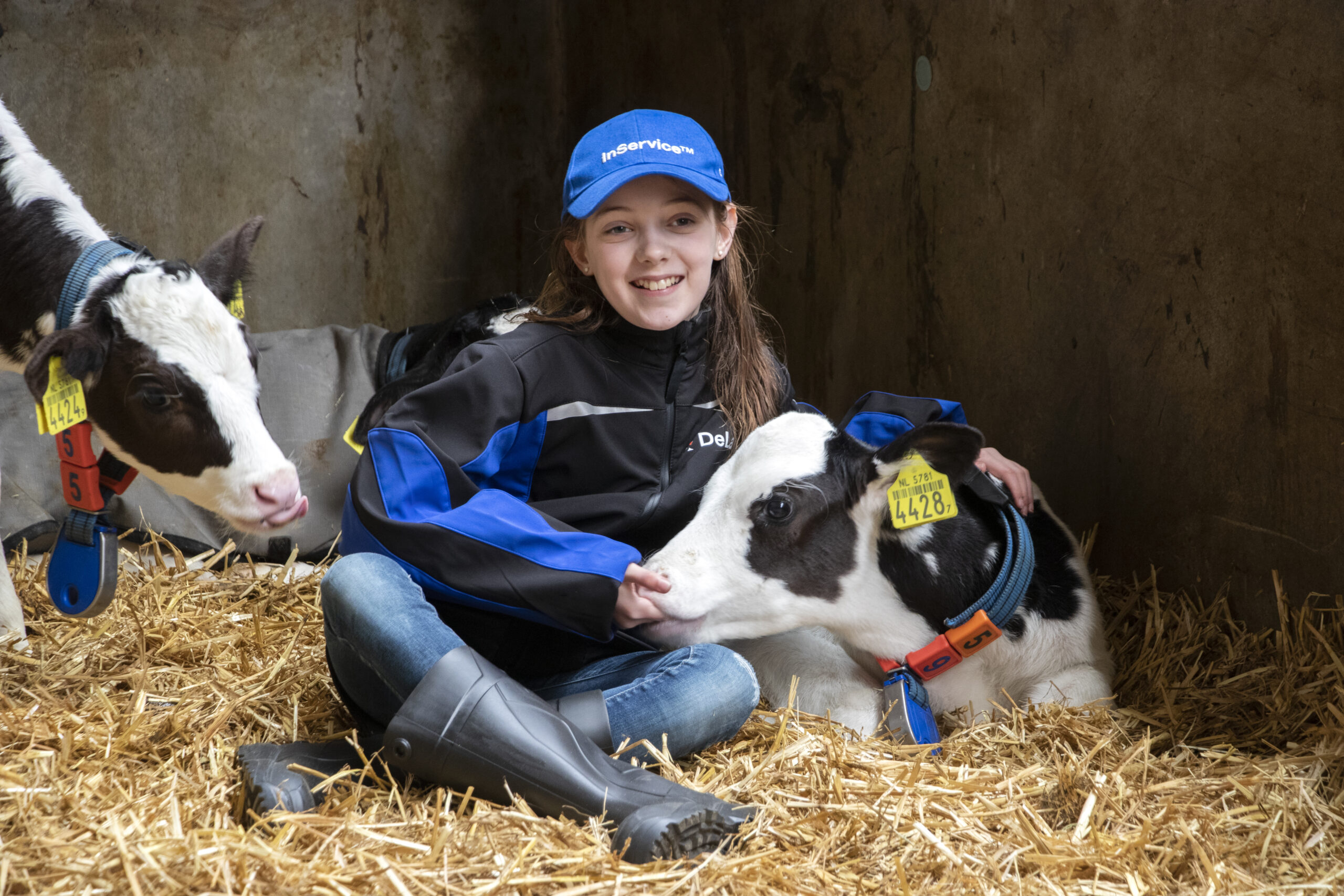 Dairy Care Home - Welcome to the all in one Dairy Solution store
